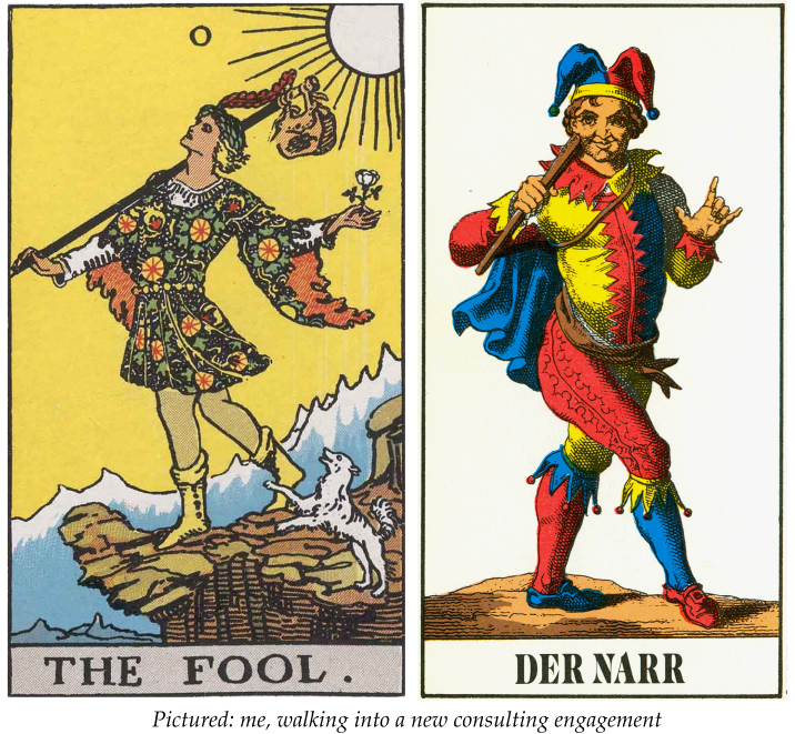 The Contrary Consultant